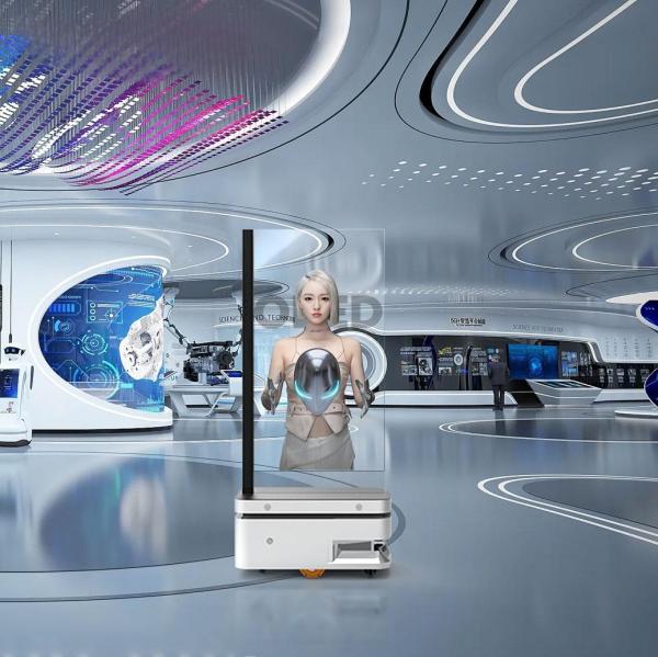Quality AI Digital 55 Inch See Through Oled Screen Human Body Screen Suitable For for sale