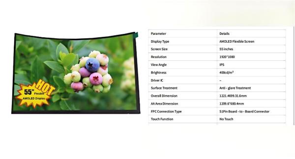 Quality 55 Inch Flexible AMOLED Display 1920x1080 MIPI 400cd/M² For Curved TVs for sale
