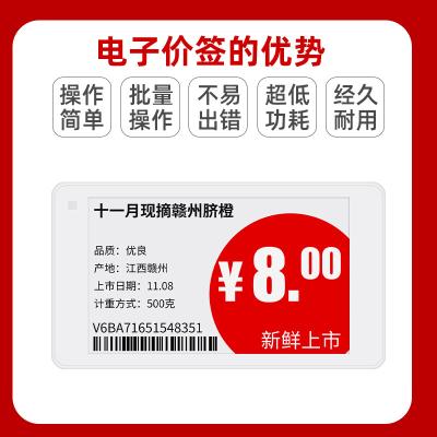China 4  inch  white/black  E-paper display  480*800  resolution SPI interface for sale