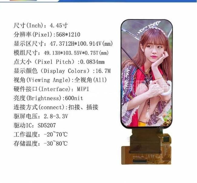 4.45 Inch AMOLED Display detailed view