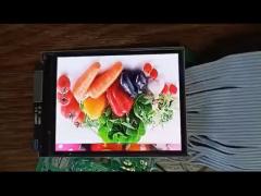 2.4 Inch Amoled Display Module 450x600 Resolution MIPI/MCU /SPI Interface For Smart Devices