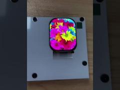 2.01 Inch Custom Oled Panel 240x960 Dots 24 Pin QSPI Interface Driving IC SH8501A 500c/D