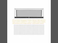 48 Inch High Definition Oled See Through Screen Transparent Oled Panel