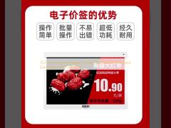 10.2インチ カスタム電子ペーパーディスプレイ 960*640 SPIインターフェース 環境保護