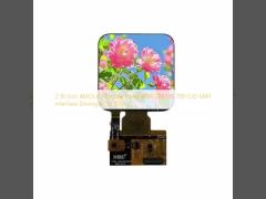 2.16 Inch AMOLED Display Panel 480RGBX480 700 C/D MIPI Interface Driving IC CO5300