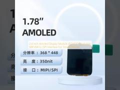2.4 Inch Amoled Display Module 450x600 Resolution MIPI/MCU /SPI Interface For Smart Devices