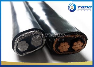 China Concentric PE PVC Insulated Cable 2 3 4 Core Solid / Stranded Conductor for sale