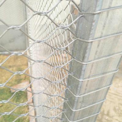 China Stainless steel wire rope mesh for sale