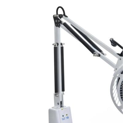 China TDP-Boden, der medizinische magische Infrarothitze-Lampe mit flexibler Arm-Schmerzlinderung für Schönheits-Hals-hintere Arthritis steht zu verkaufen