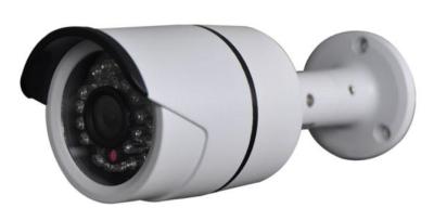China 600TVL 1/3