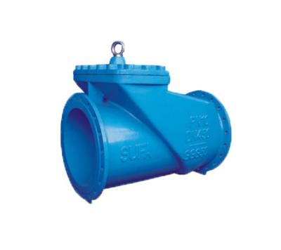 China Gummiklappen-Edelstahl-Schwingen-Rückschlagventil für Wasser-und Öl-Dampf zu verkaufen