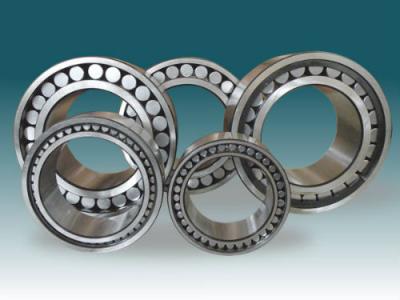 China C4032V full complement roller set CARB bearing for sale