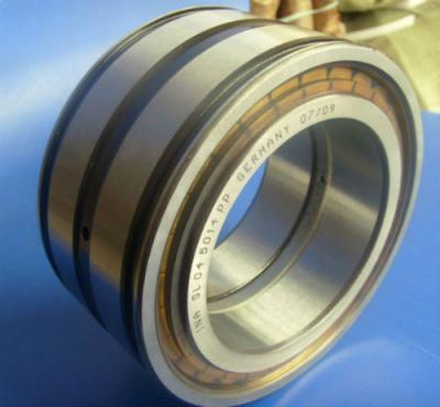 China SL045014PP double row full complement cylindrical roller bearing,sealed bearing for sale