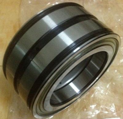China SL045017PP double row full complement cylindrical roller bearing,sealed bearing for sale
