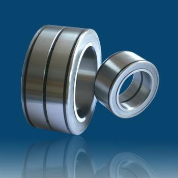 China SL045019-PP double row full complement cylindrical roller bearing,sealed bearing for sale