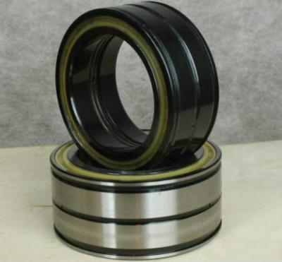 China SL045015-PP double row full complement cylindrical roller bearing,sealed bearing for sale