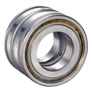 China SL045006-PP double row full complement cylindrical roller bearing,sealed bearing for sale