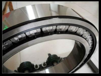 China SL182960 single row full complement cylindrical roller bearing for sale