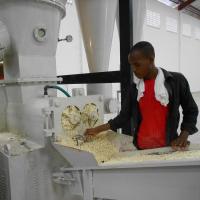 China Soap noodle making machine for sale