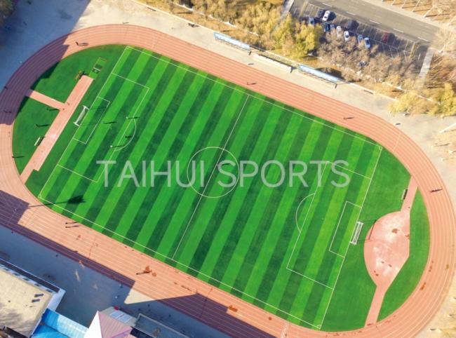High Shock Absorption 50mm Custom Size Outdoor Landscape Synthetic Artificial Turf For Soccer Sports Field 0