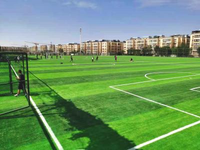 中国 認定されたプロフェッショナルイベントのための人工草のショックパッド 販売のため