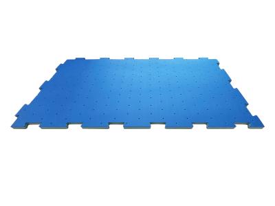 China HIC/CFH Certified Playground Shock Pad with 10-100mm Thickness for Superior Shock Absorption for sale