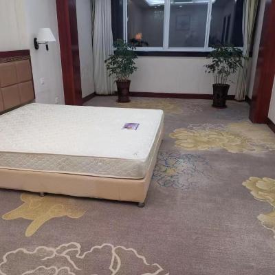 China Hotel Lobby Hall 100%Nylon Custom Printing Carpets with Modern Design Style by Carpet for sale