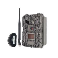 China 24MP Cloud Wireless Rear Time Image Game Camera 4G Cellular Game Camera for sale