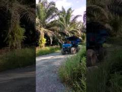Trator da movimentação da roda do trator 4 do óleo de palma 14HP para o jardim da palma de óleo