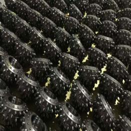 Roller Cones