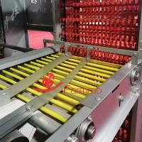 China Automatic Poultry Egg Collection System for Laying Hens - High-Strength Chain Drive & PP Material Belt for sale