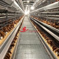 Quality Reliable and Even Feeding 8 tiers Layer Chicken Cage System Fine Management for sale