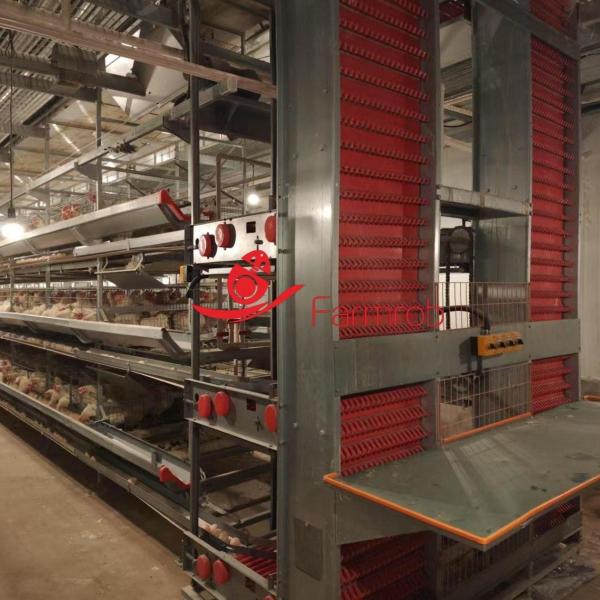 Quality Reliable and Even Feeding 8 tiers Layer Chicken Cage System Fine Management for sale