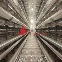 China Labor-Saving High Yield Layer Chicken Cage System with Al-Zn Wire Mesh and Automatic Egg Collection for 0 Cracked Eggs for sale