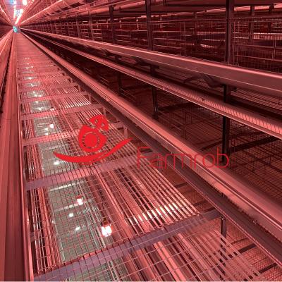 중국 소비자 친화적인 계층 닭장 시스템, 매우 효과적인 분뇨 처리 판매용