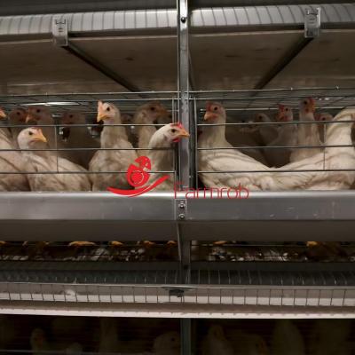 중국 버(Burr) 없는 처리 층 닭장 시스템 합금 보강 판매용