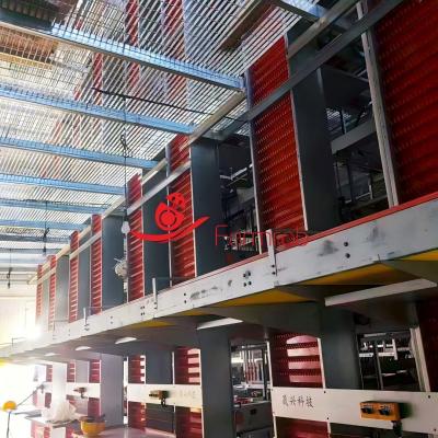 중국 6-12 계층 치킨 케이지 시스템 핫 디프 가루화 보행자 네트워크 판매용