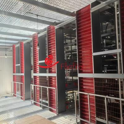중국 80000 계층 치킨 케이지 시스템 판매용