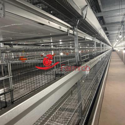 중국 60000 계층 닭 케이지 시스템, 더 건강한 환경 판매용