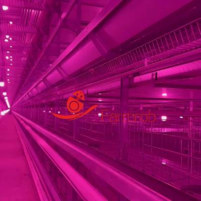 중국 Mg-Al-Zn 합금 중부 지원 층 닭고기 케이지 시스템 높은 강도 판매용