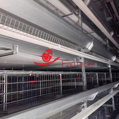 중국 모로코의 안정적인 성능 계층 닭장 시스템 판매용