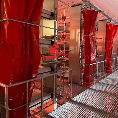 중국 낮은 감염성 H형 배터리 닭고기 케이지 판매용