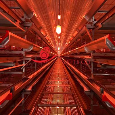 중국 이중 급수 라인이 있는 고품질 표준 계층 닭장 시스템 판매용