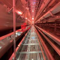 China Precision Environmental Management Layer Chicken Cage System Smart Coop 50mm Air Deflector AC2000 for sale
