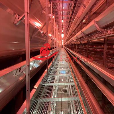 중국 정밀 환경 관리 계층 치킨 케이지 시스템 스마트 코프 판매용