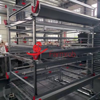 중국 방글라데시 양계장을 위한 전용 계층 닭장 시스템 판매용