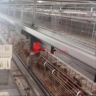 China 50000 Pullets Poultry Battery Cage System with Professional Laser Bending Techniques for sale