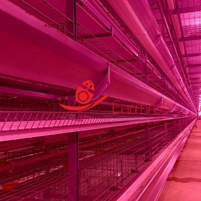 中国 ベトナムの養鶏場向けに科学的に設計されたレイヤーチキンケージシステム 販売のため