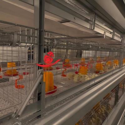 中国 サウジアラビアの農場向け30000羽鶏用バタリーケージシステム 販売のため