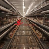 China Layer Chicken Cage System 3-12 Tiers 700mm Story Height for Efficient Poultry Farming for sale